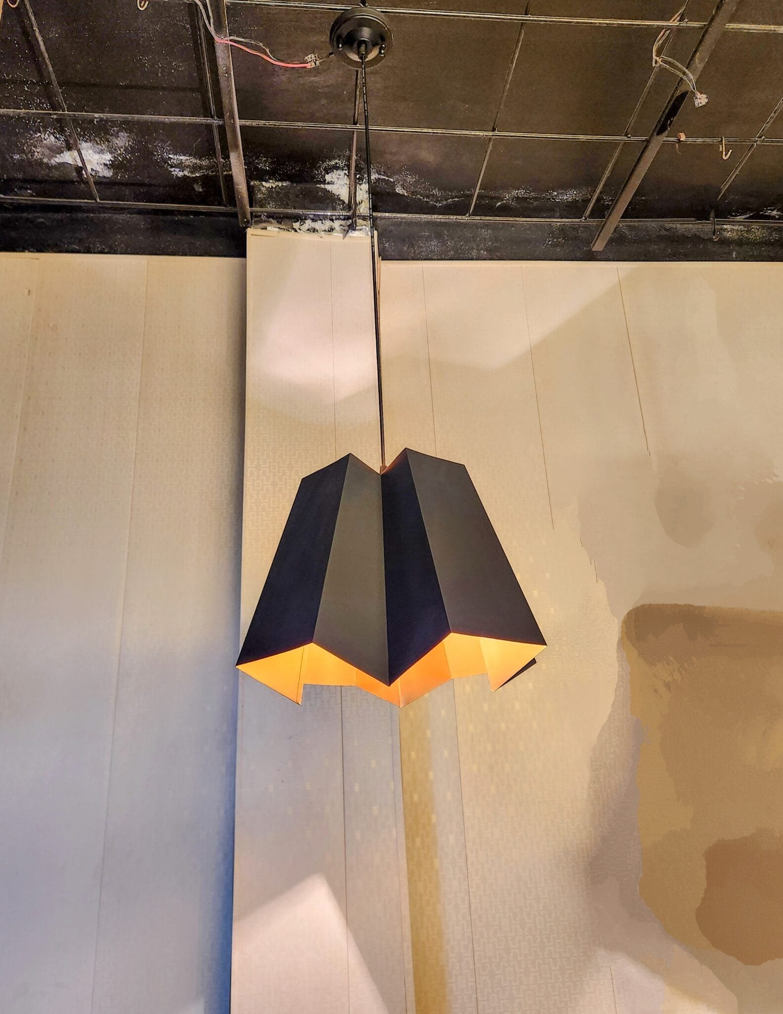 Shop - Butt Lights